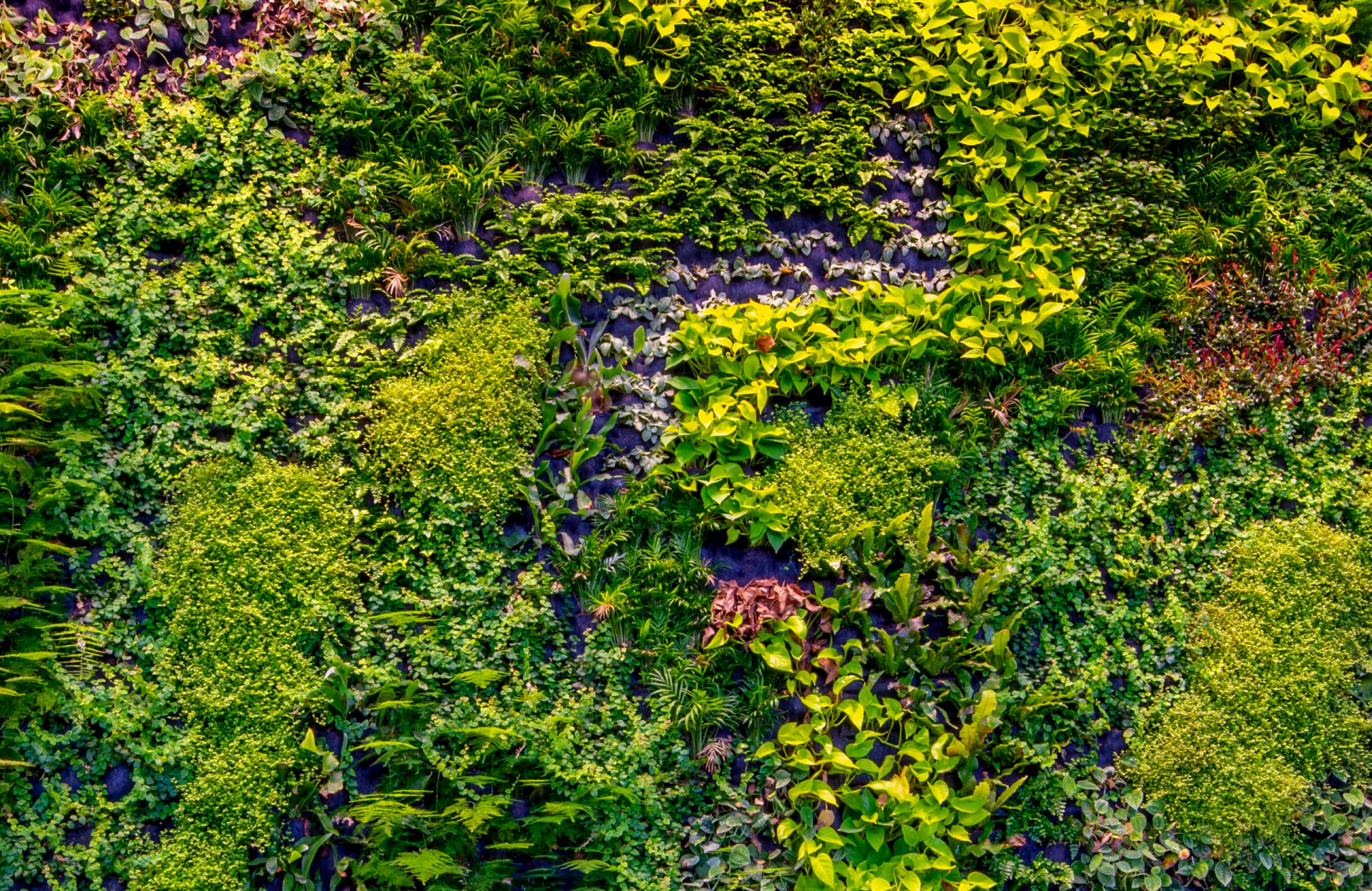 Bonhill Building | Office space available in London